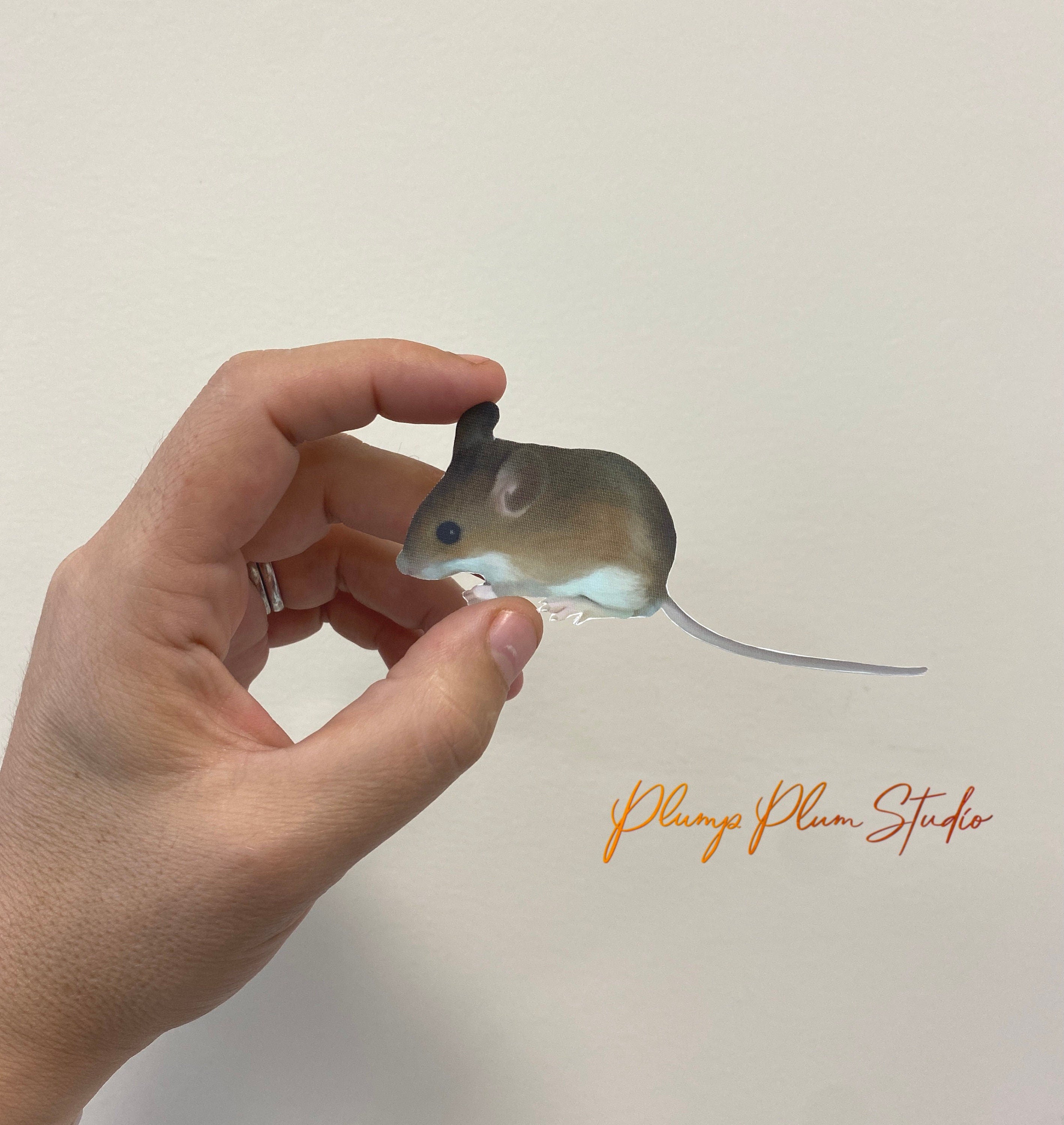 Realistic mouse decal, indoor/outdoor vinyl illustrated mouse decal, m ...