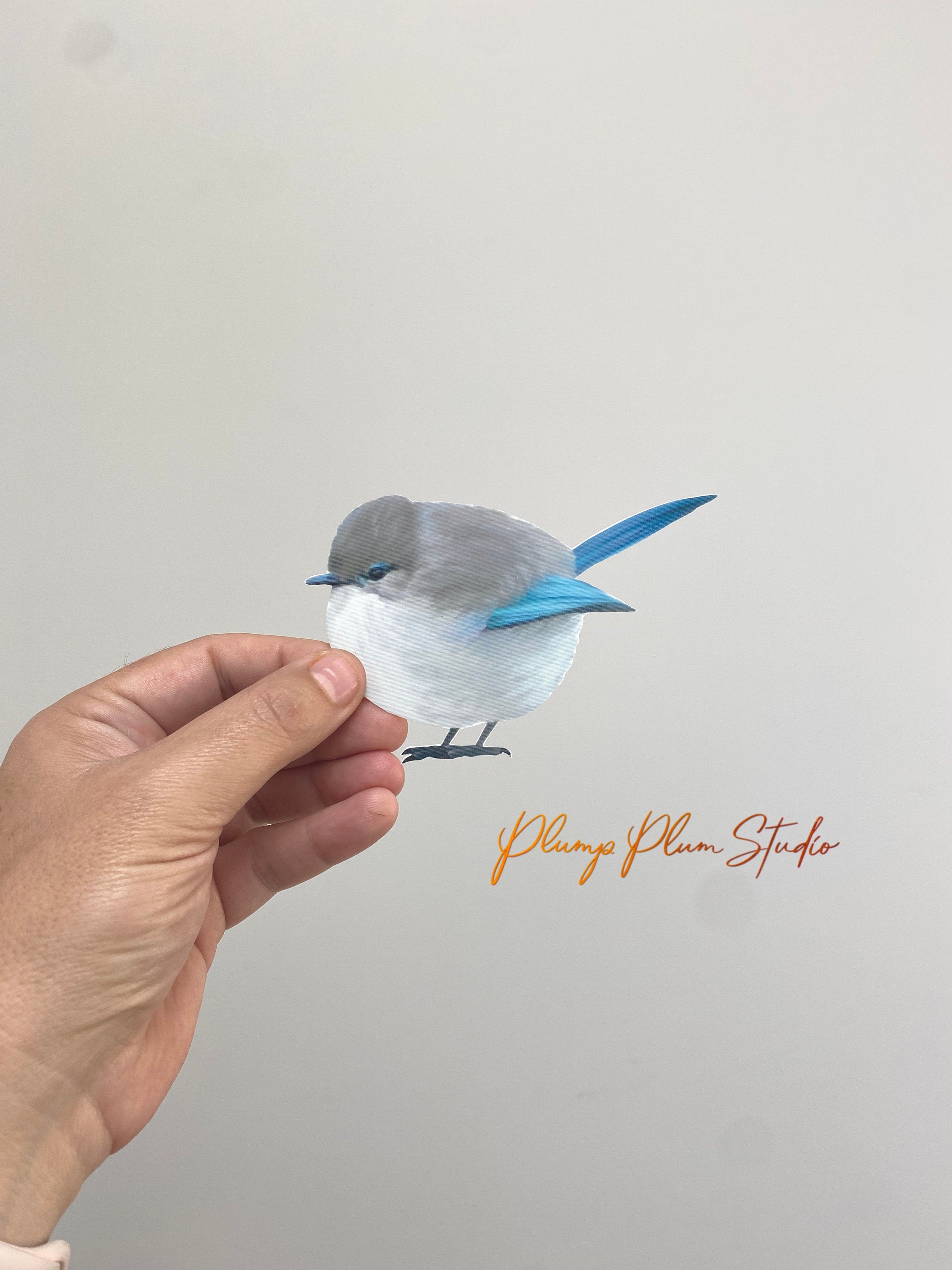 Superb fairy blue wren decal, Australian fairy wren sticker, peel/stic ...
