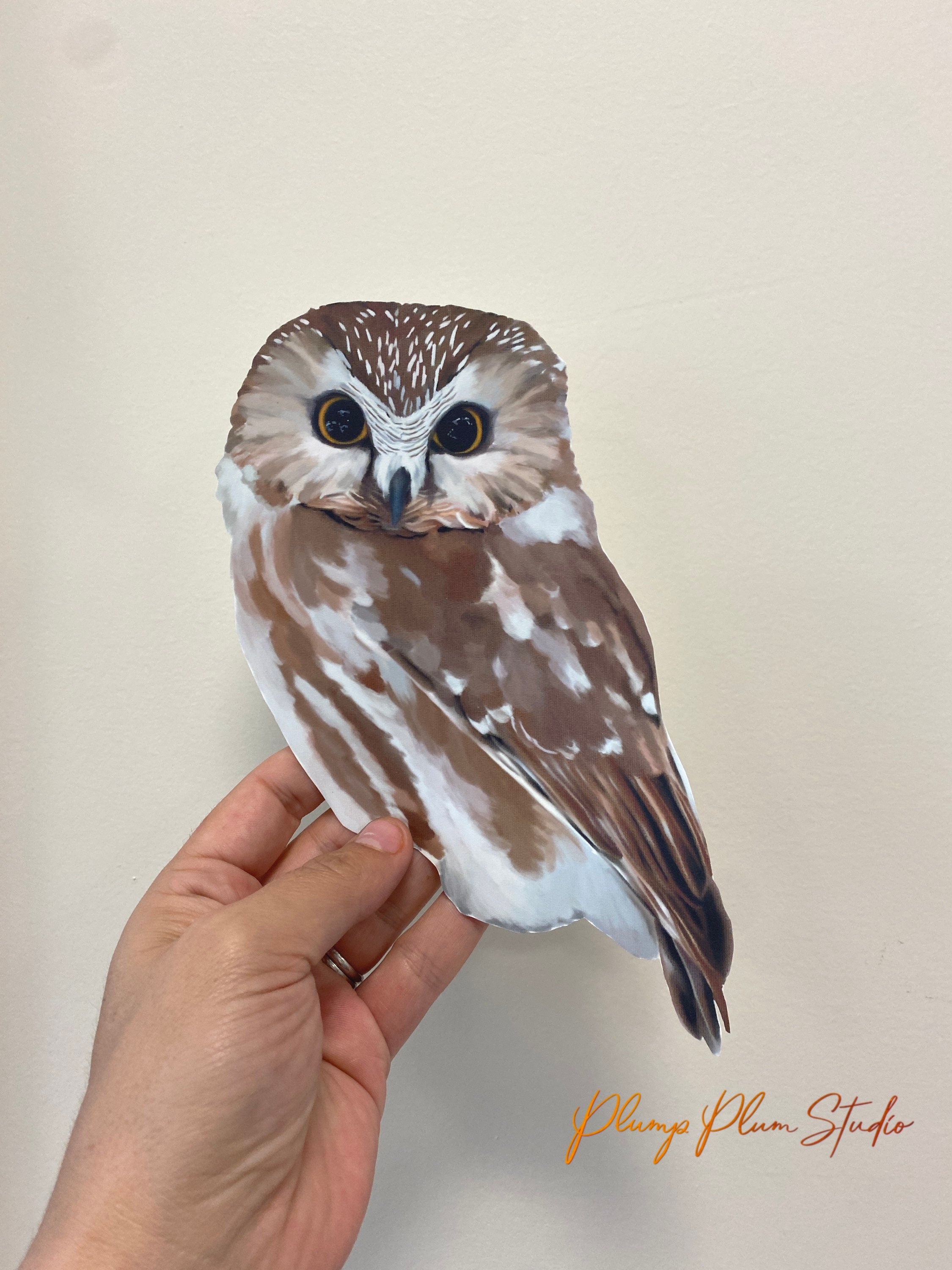 Owl sticker, Owl textured vinyl decal, Realistic owl decal, Bird lover ...