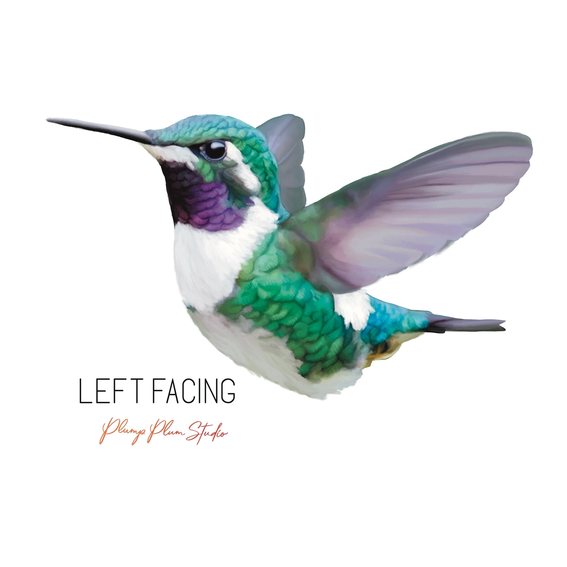 Hummingbird decal, Hummingbird sticker, peel/stick, light switch decal ...