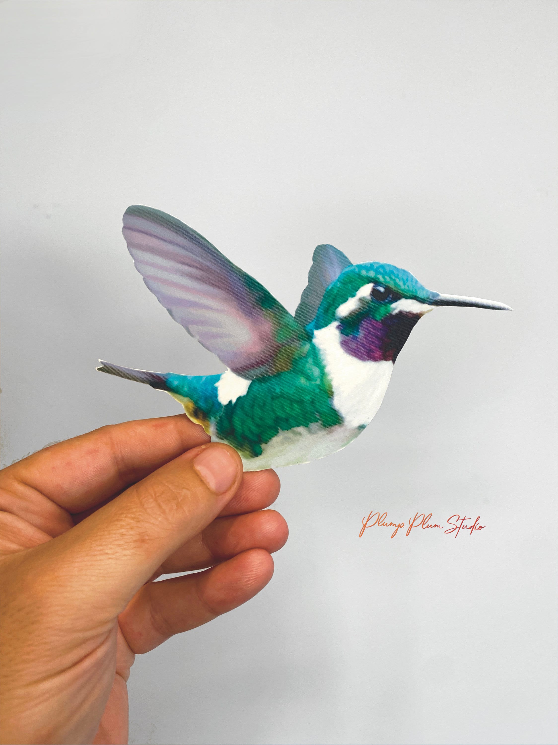 Hummingbird decal, Hummingbird sticker, peel/stick, light switch decal ...