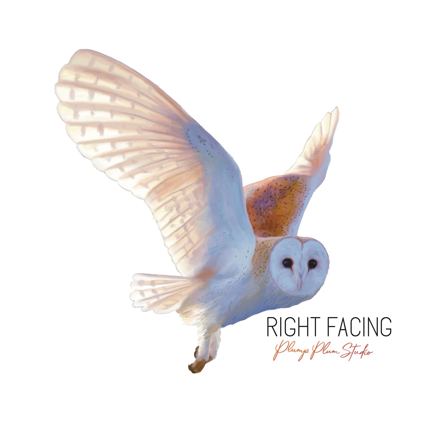 Flying Barn Owl decal, Owl sticker, Realistic owl decal, Bird lover gi ...