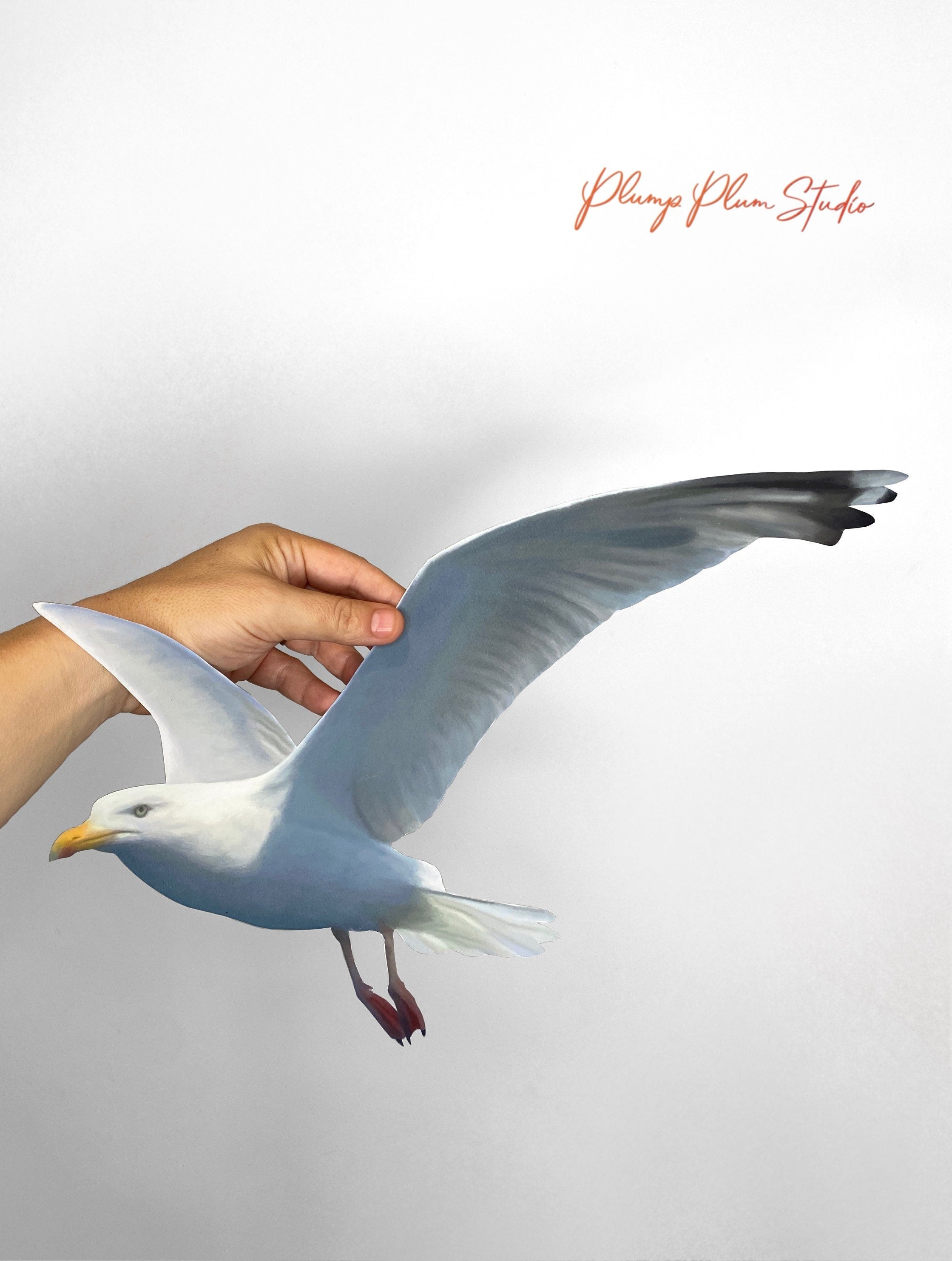 Realistic Flying Seagull decal, Seagull art, Bird lover gift, removabl ...