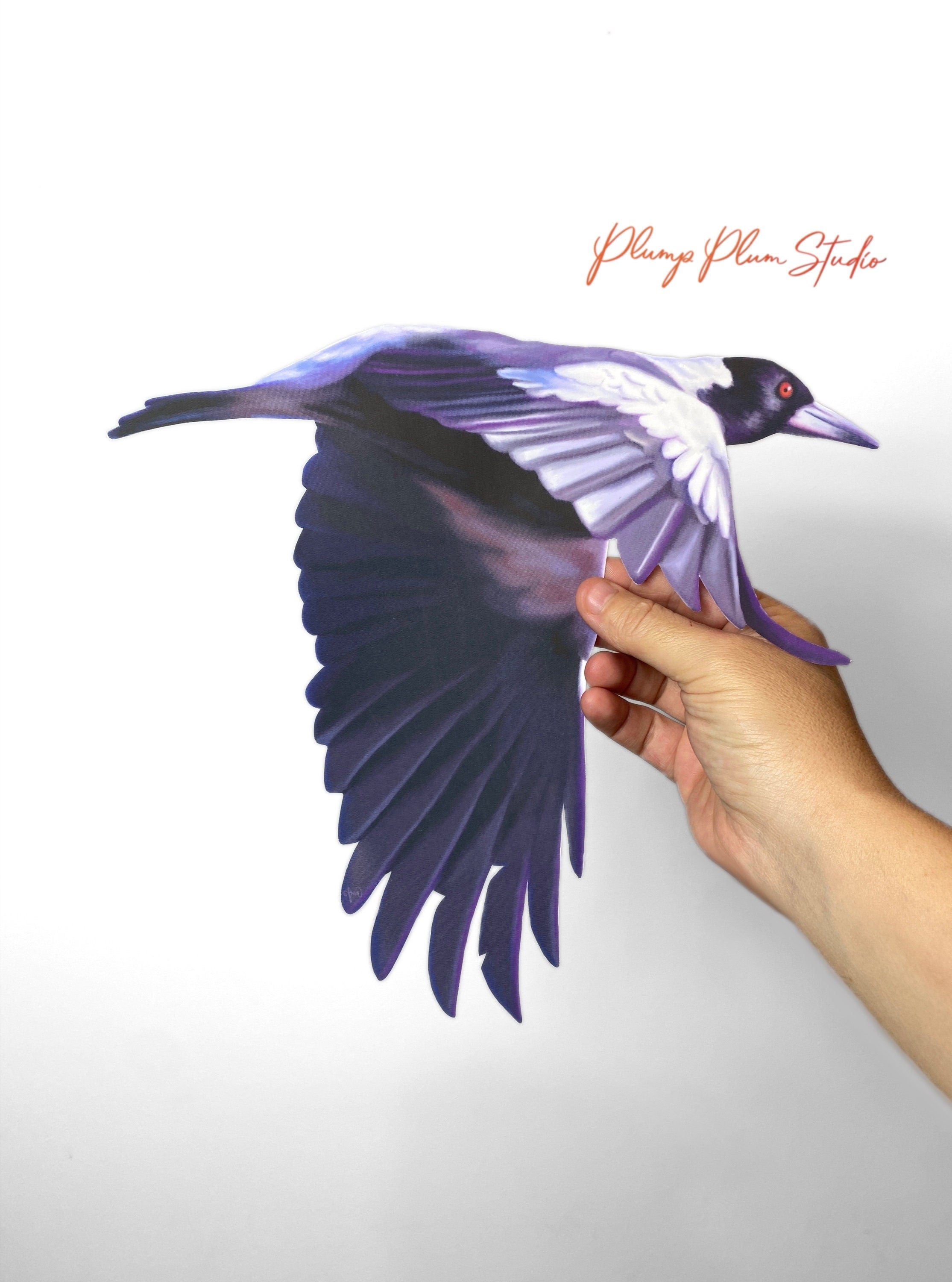 Flying Magpie decal, Australian Magpie, Bird lover gift, outdoor black ...