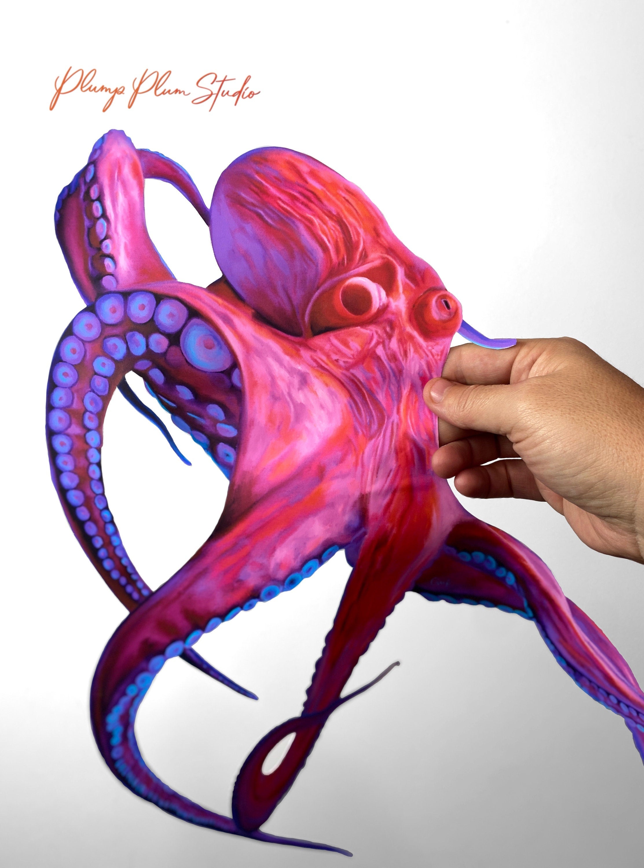 Realistic Octopus Sketch