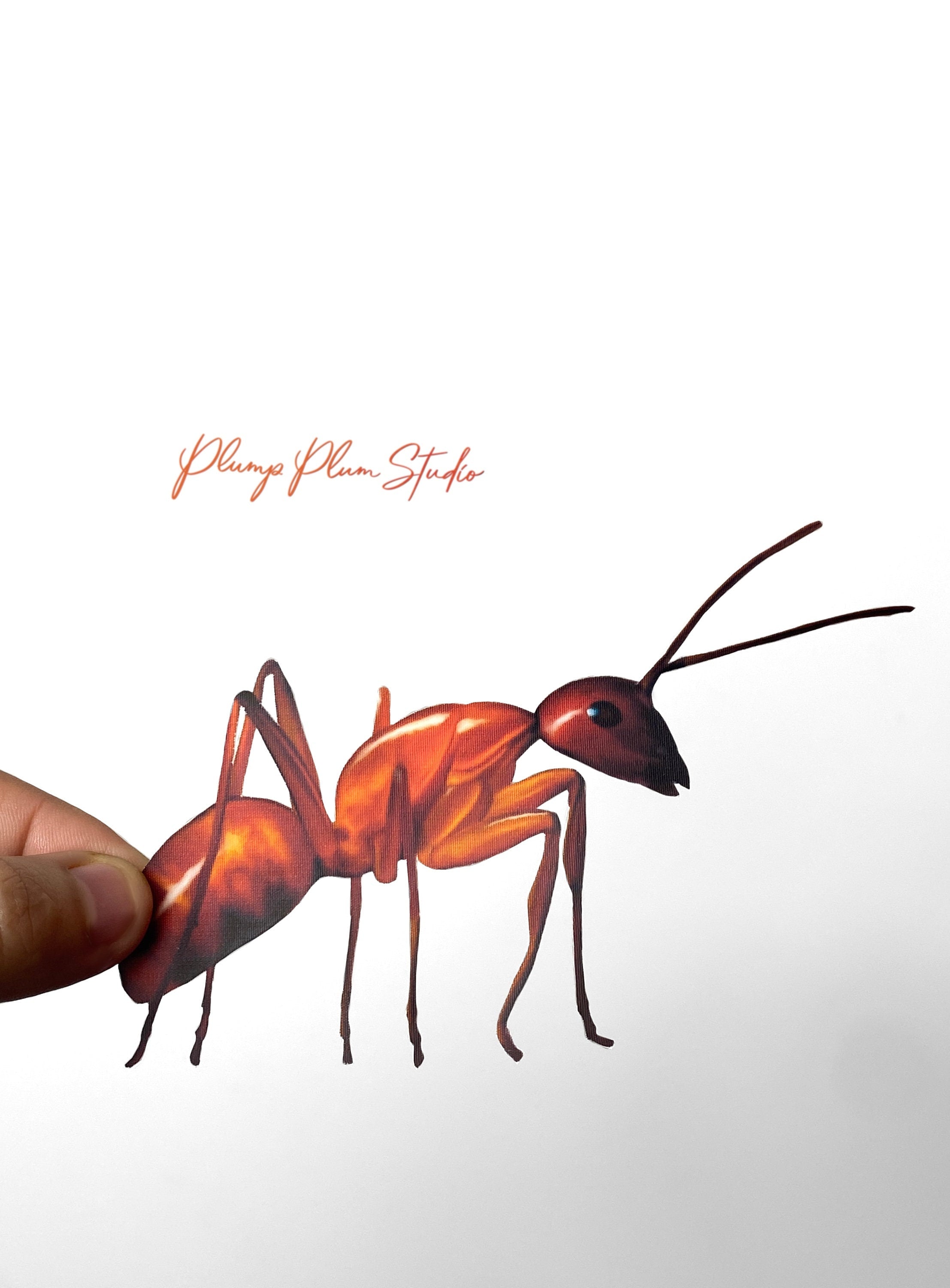 Realistic ant decal, indoor/outdoor vinyl ant sticker, unique cute lit ...