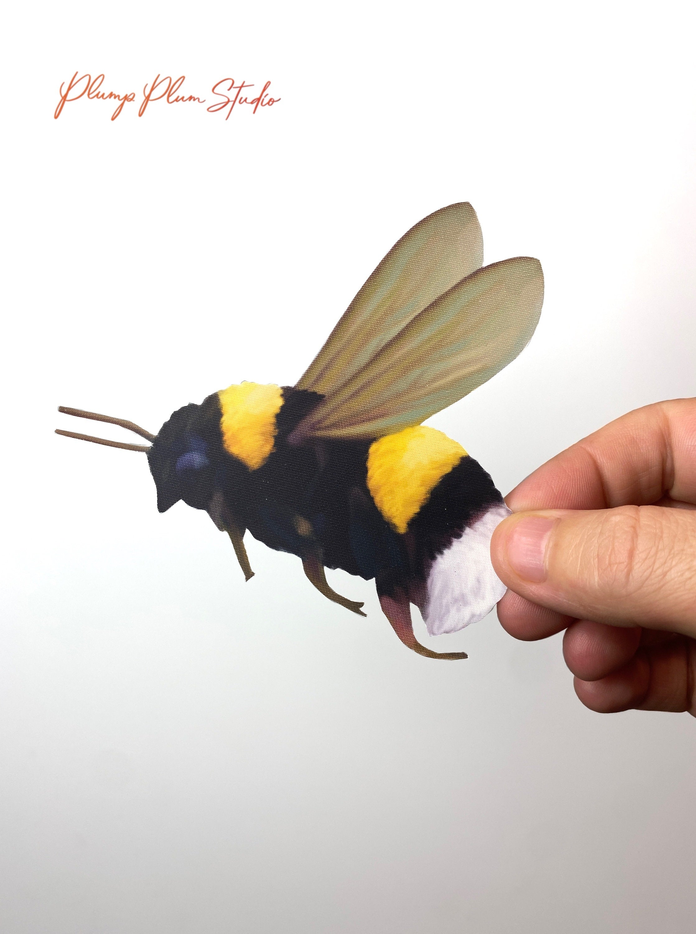 Realistic Bumble Bee decal, illustrated Honeybee sticker, cute garden ...
