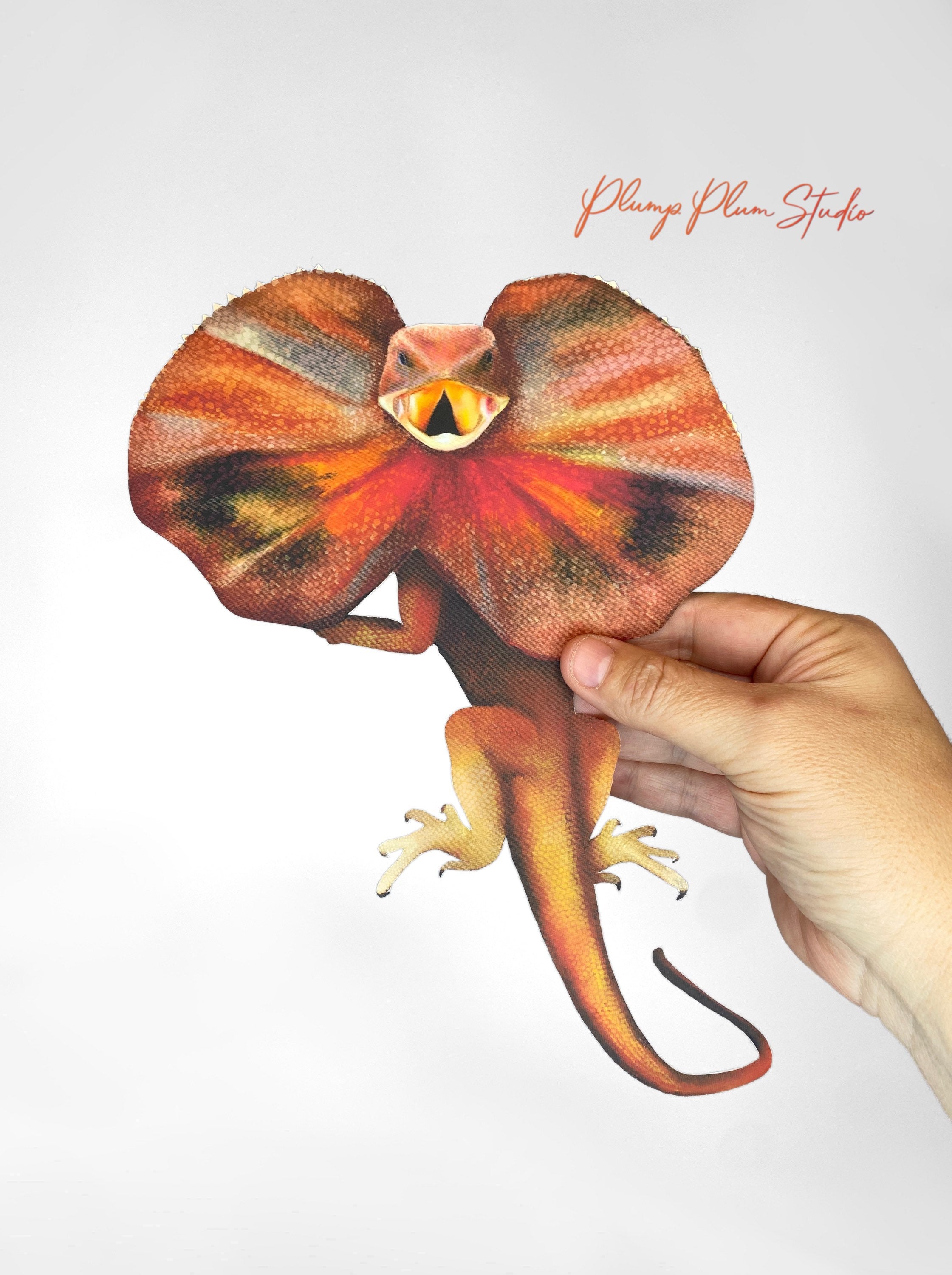 Frill-neck Lizard decal, Australian reptile sticker, lizard sticker, i ...