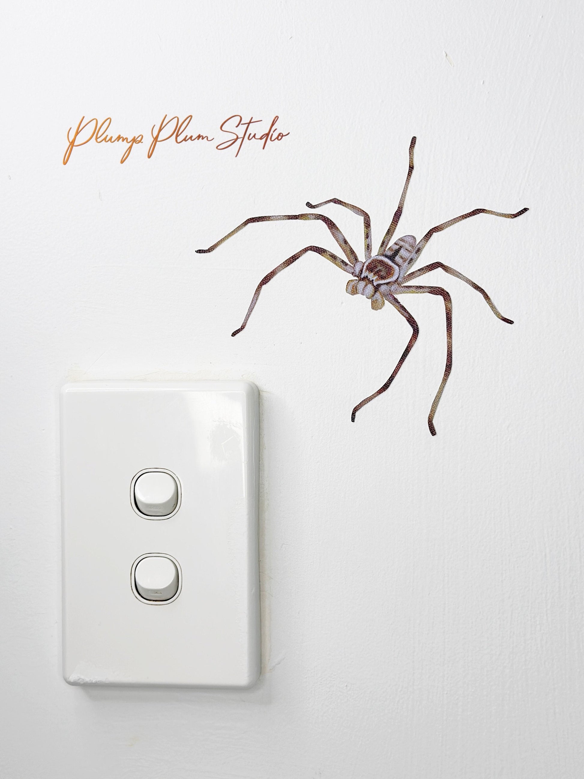 Australian Huntsman Spider decal, Huntsman spider sticker, illustrated ...
